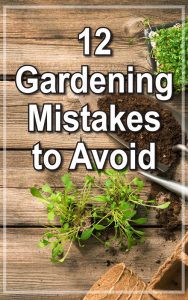 Gardening Tips: 12 Common Gardening Mistakes to Avoid - Countryside